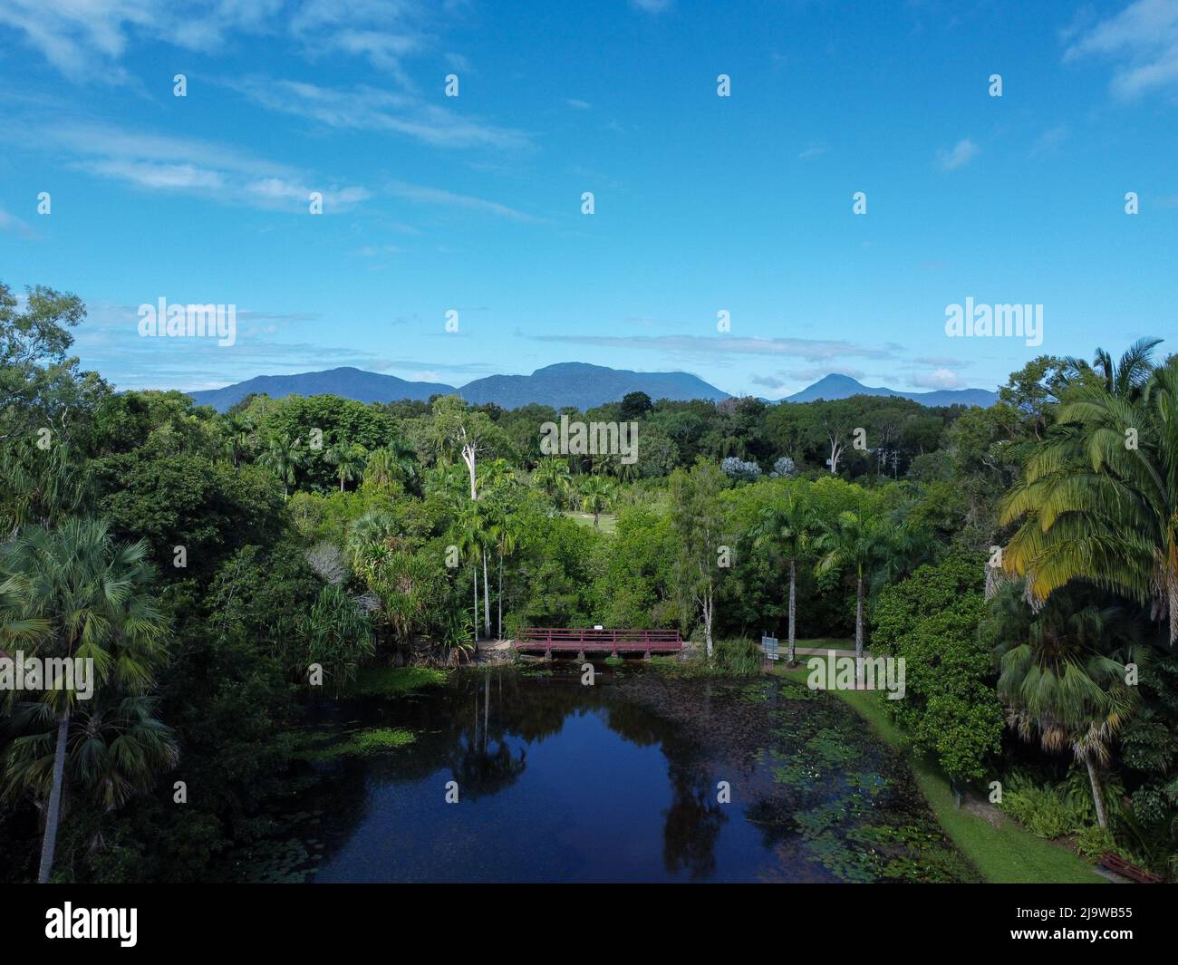 Aerial view of Cairns botanical gardens and mountains Stock Photo - Alamy