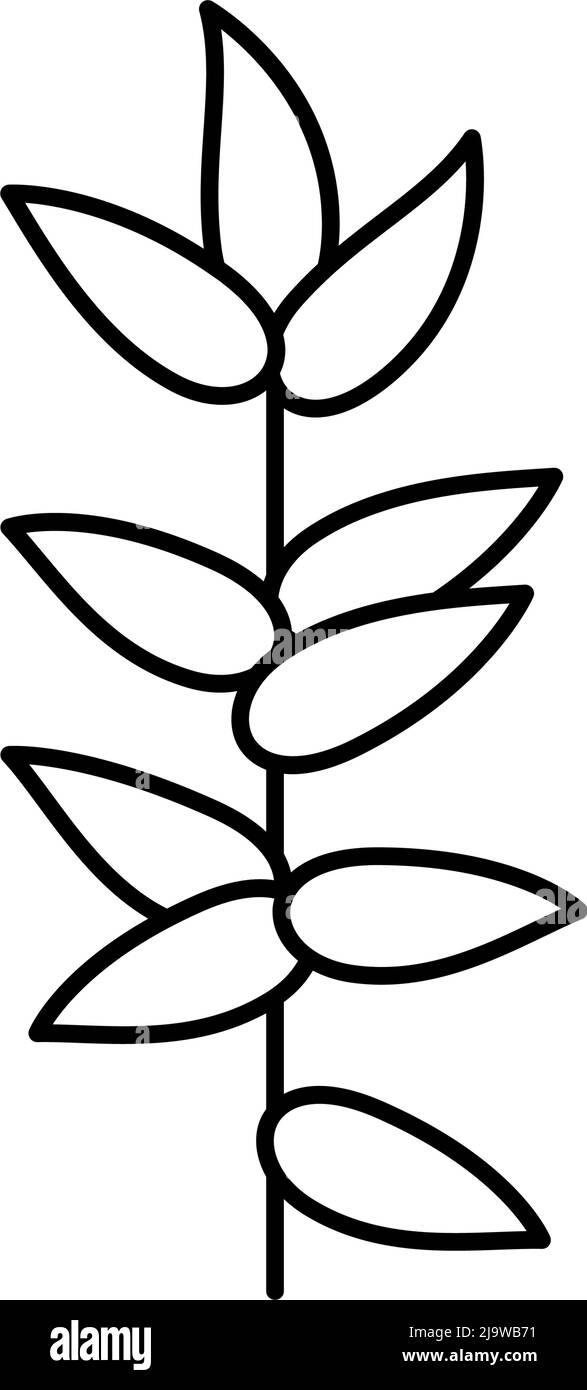 foliage branch line icon vector illustration Stock Vector Image & Art ...