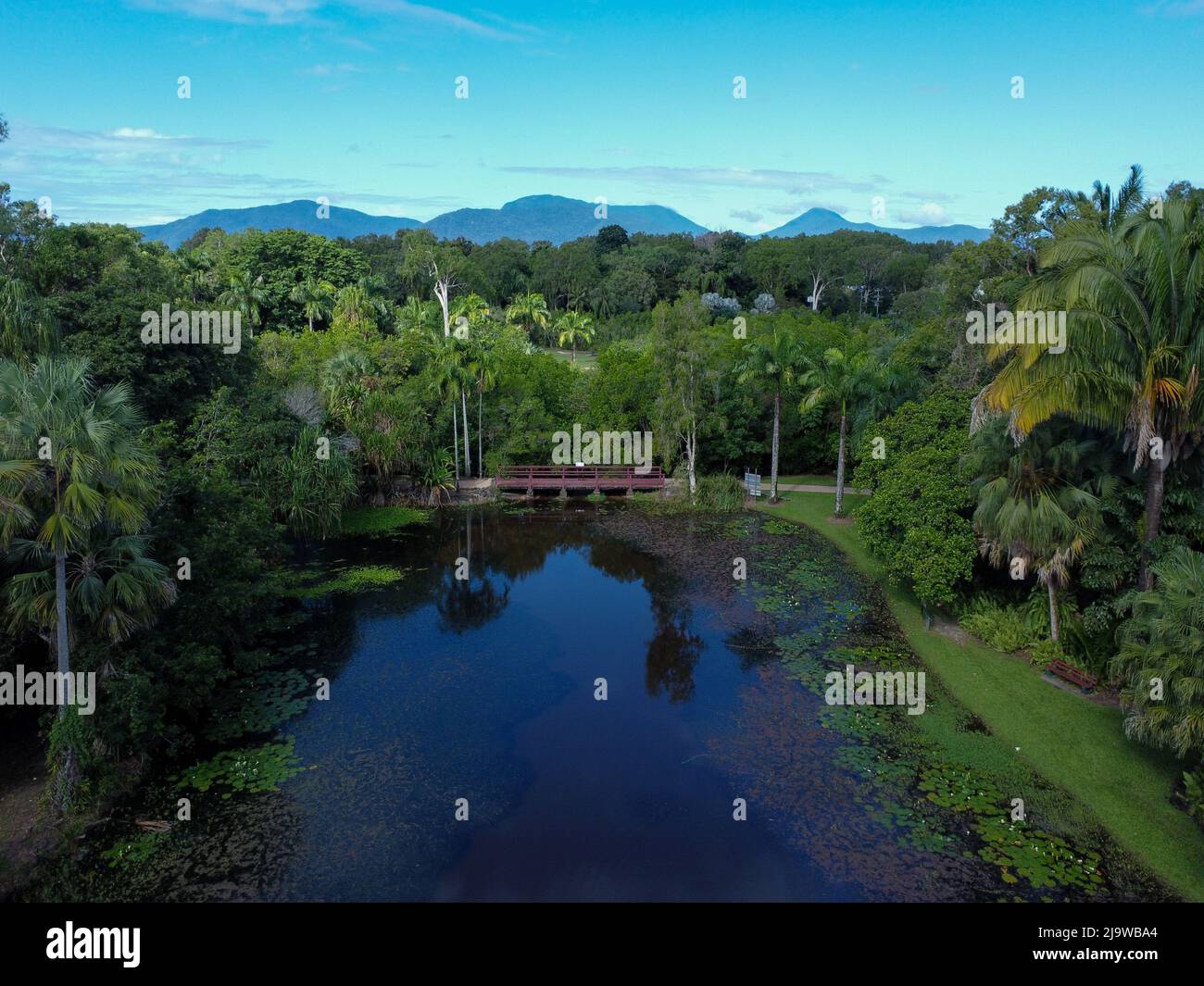 Aerial view of Cairns botanical gardens and mountains in Stock Photo ...