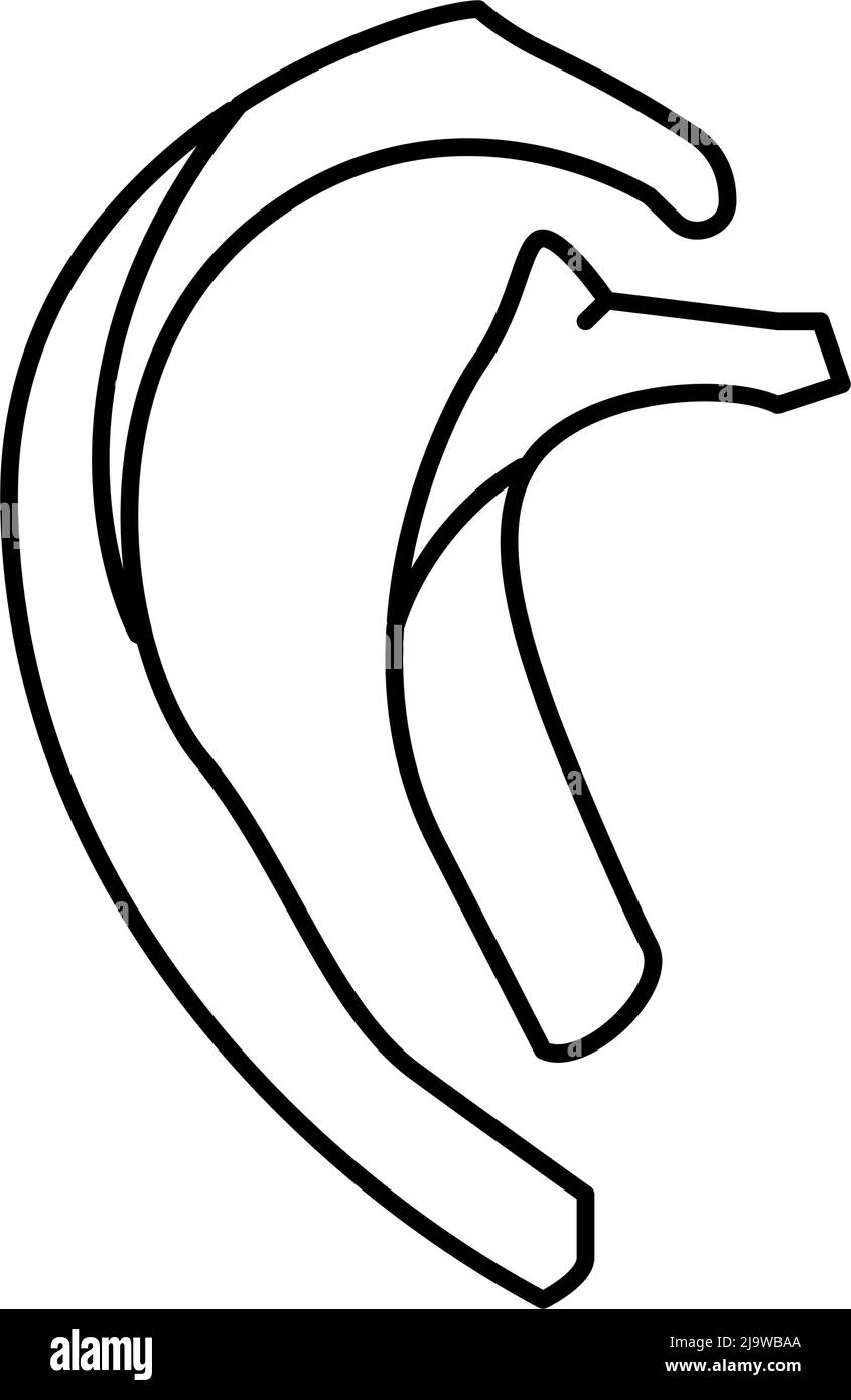 rib bone line icon vector illustration Stock Vector Image & Art - Alamy