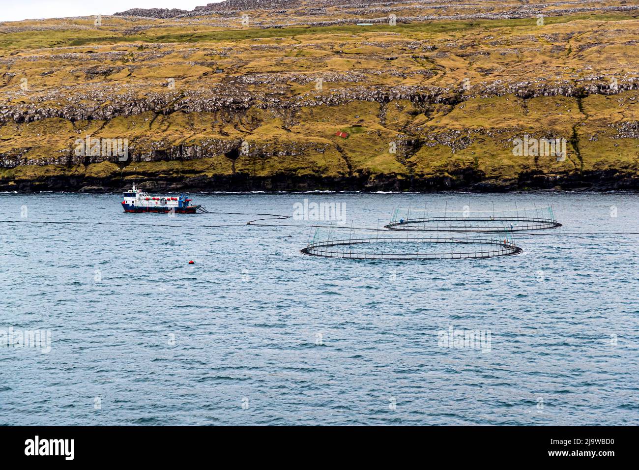 Argir, Faroe Islands Stock Photo - Alamy