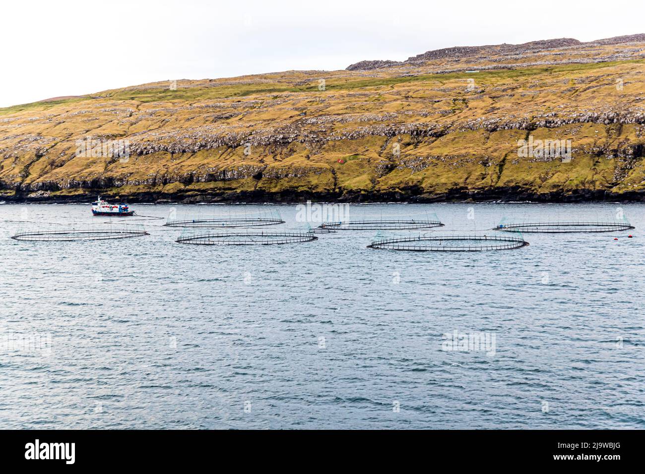Argir, Faroe Islands Stock Photo - Alamy