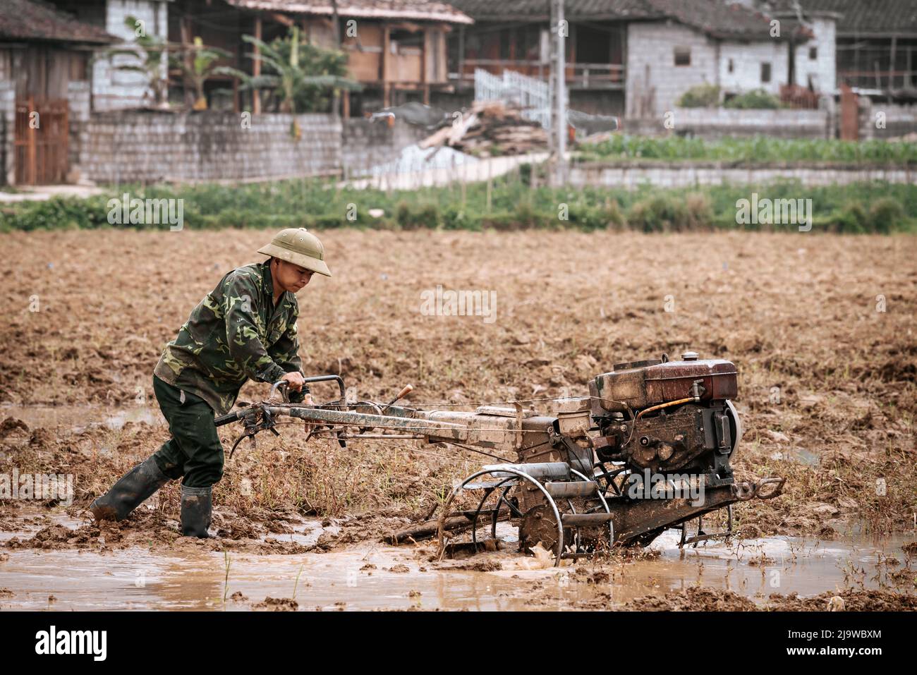 A farmer working in the rice fields of Vietnam Stock Photo - Alamy