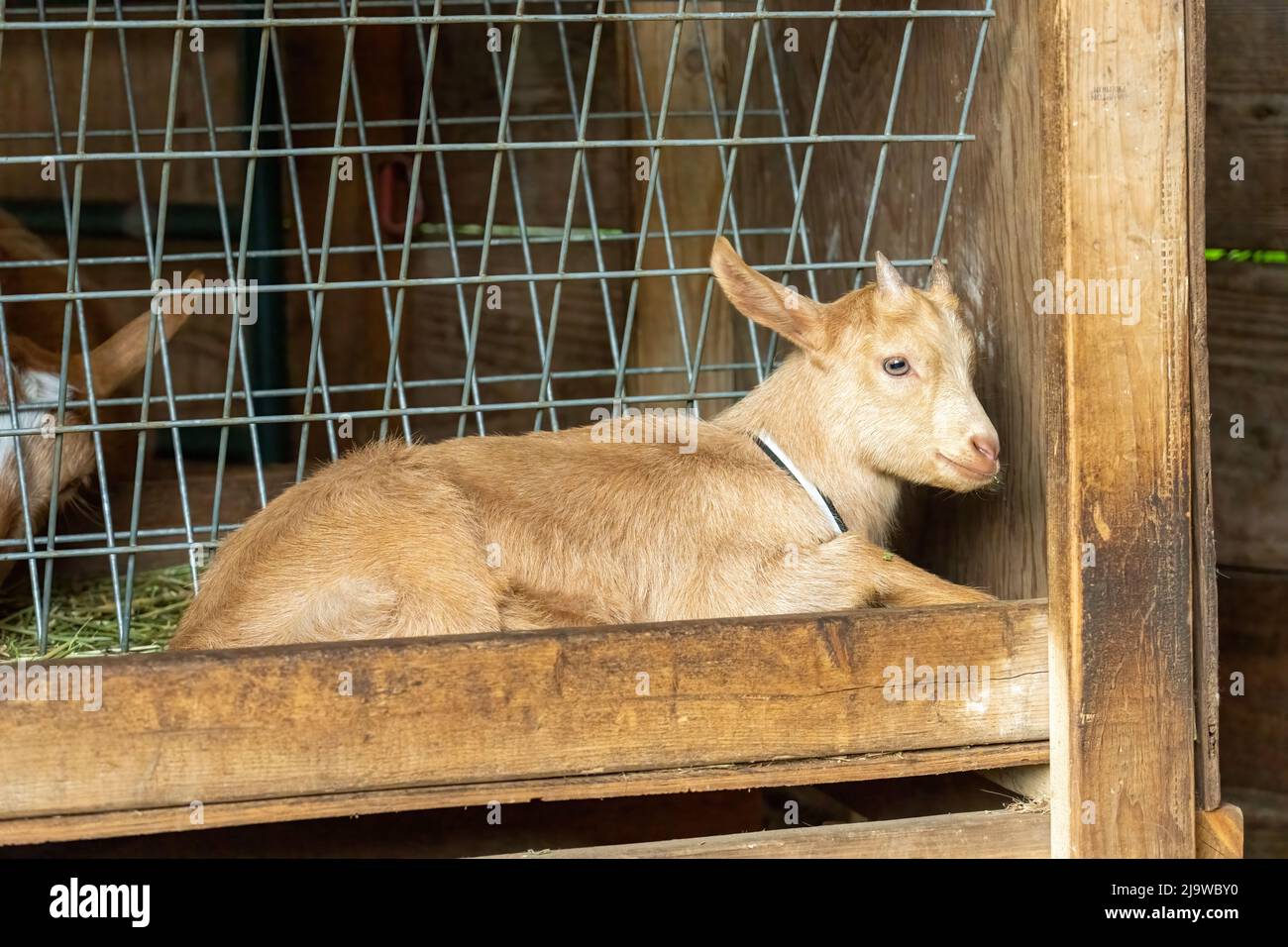 First in line hi-res stock photography and images - Alamy