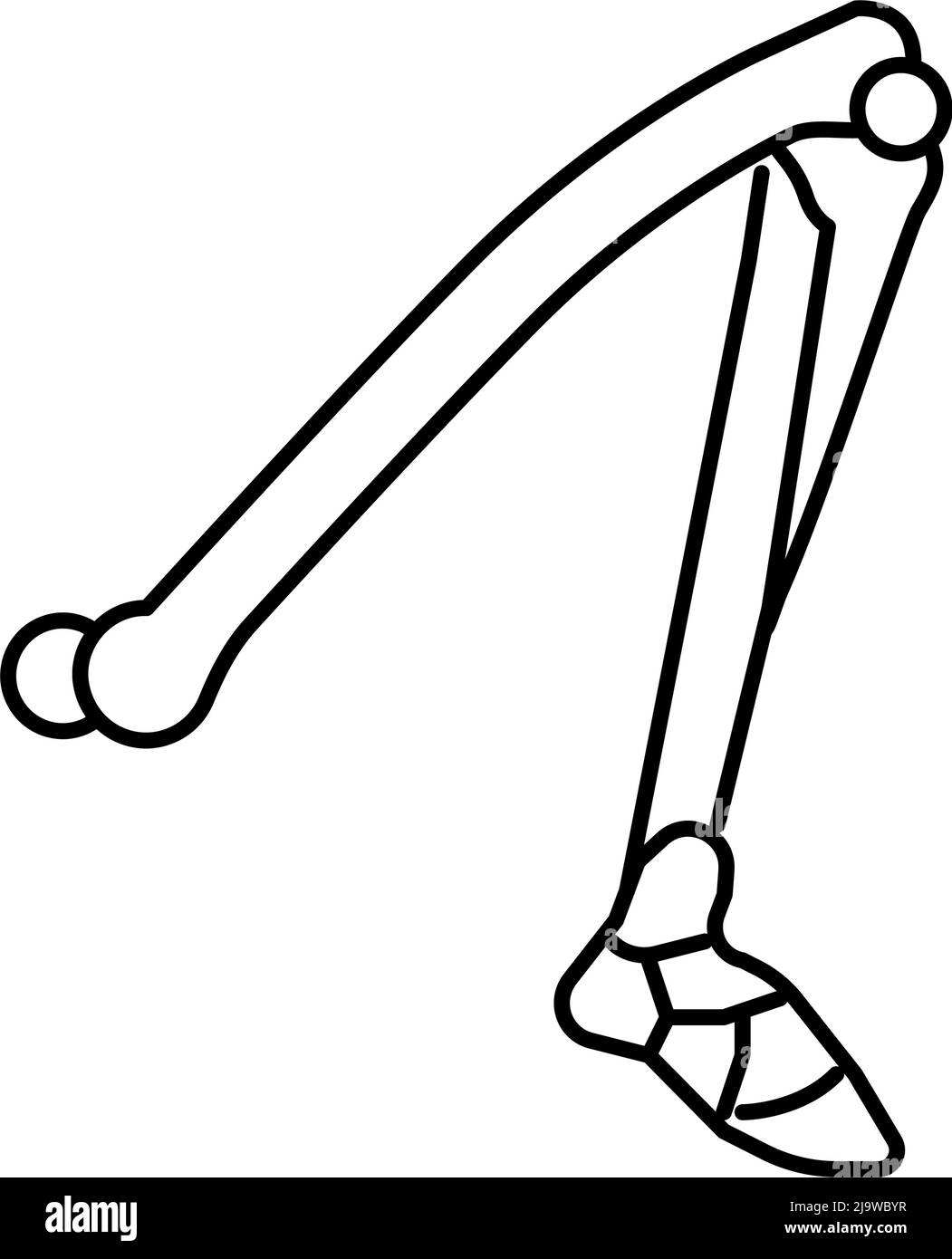 leg bone line icon vector illustration Stock Vector Image & Art - Alamy