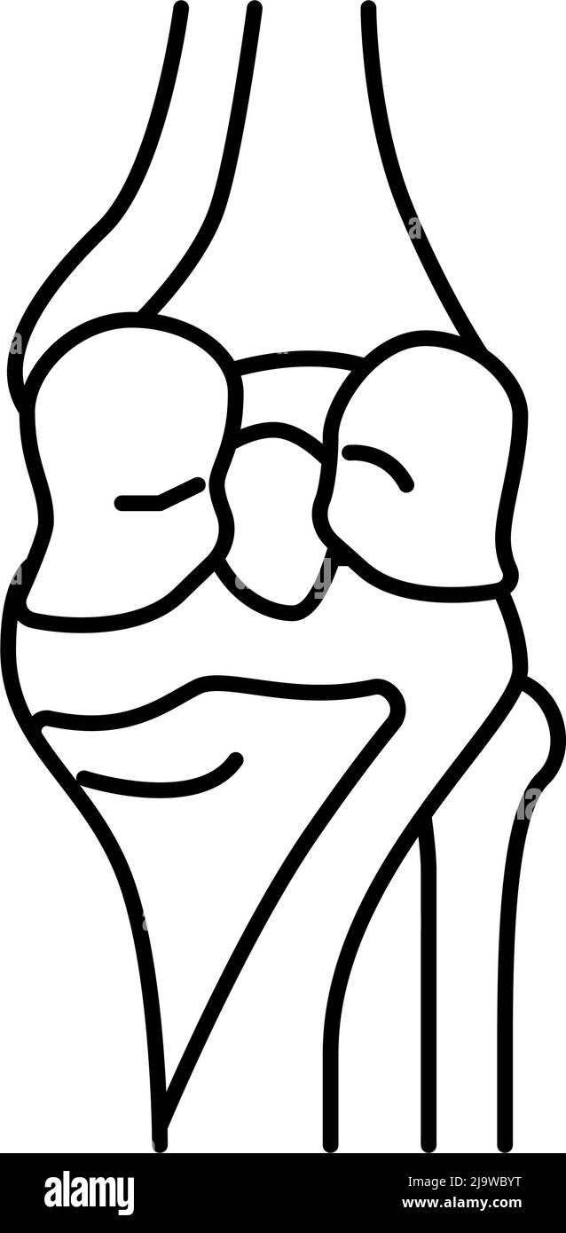 knee bone line icon vector illustration Stock Vector Image & Art - Alamy
