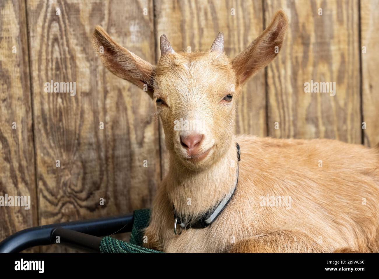 Close up elevated platform hi-res stock photography and images - Alamy