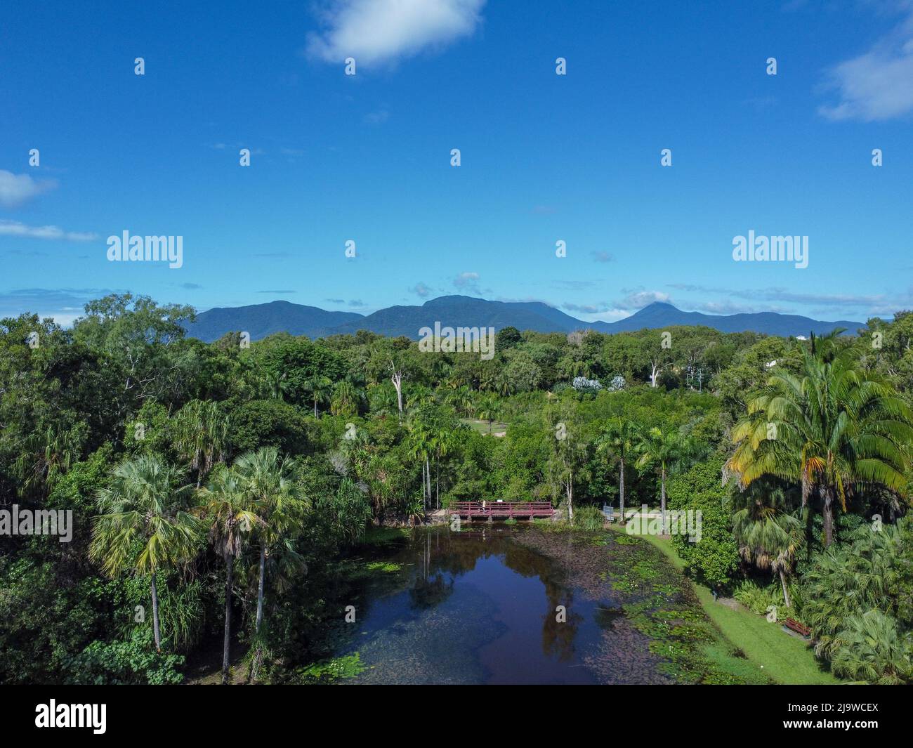 Aerial view of Cairns botanical gardens and mountains in Stock Photo ...