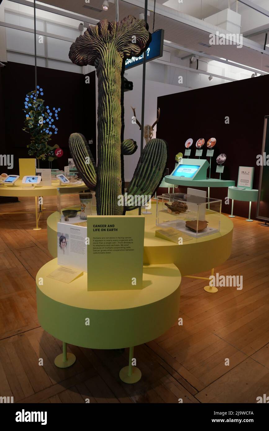 Today the Science Museum has opened Cancer Revolution : Science ...