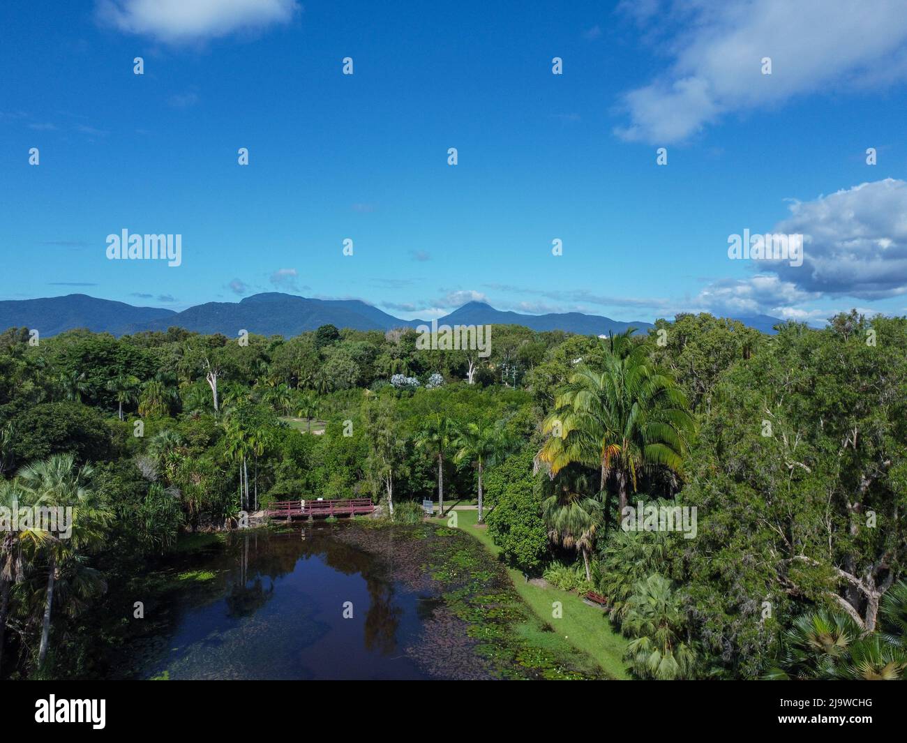 Aerial view of Cairns botanical gardens and mountains in Stock Photo ...