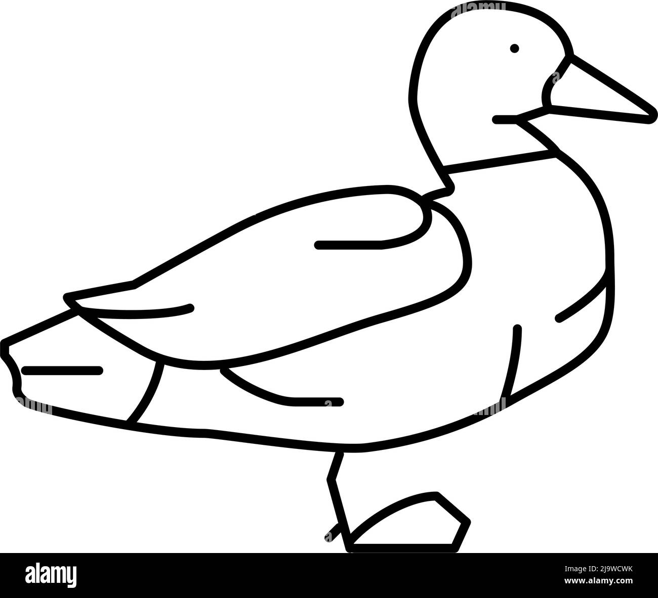 duck bird line icon vector illustration Stock Vector Image & Art - Alamy