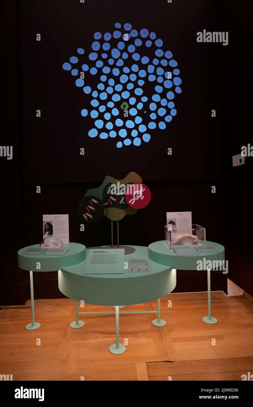 Today the Science Museum has opened Cancer Revolution : Science ...