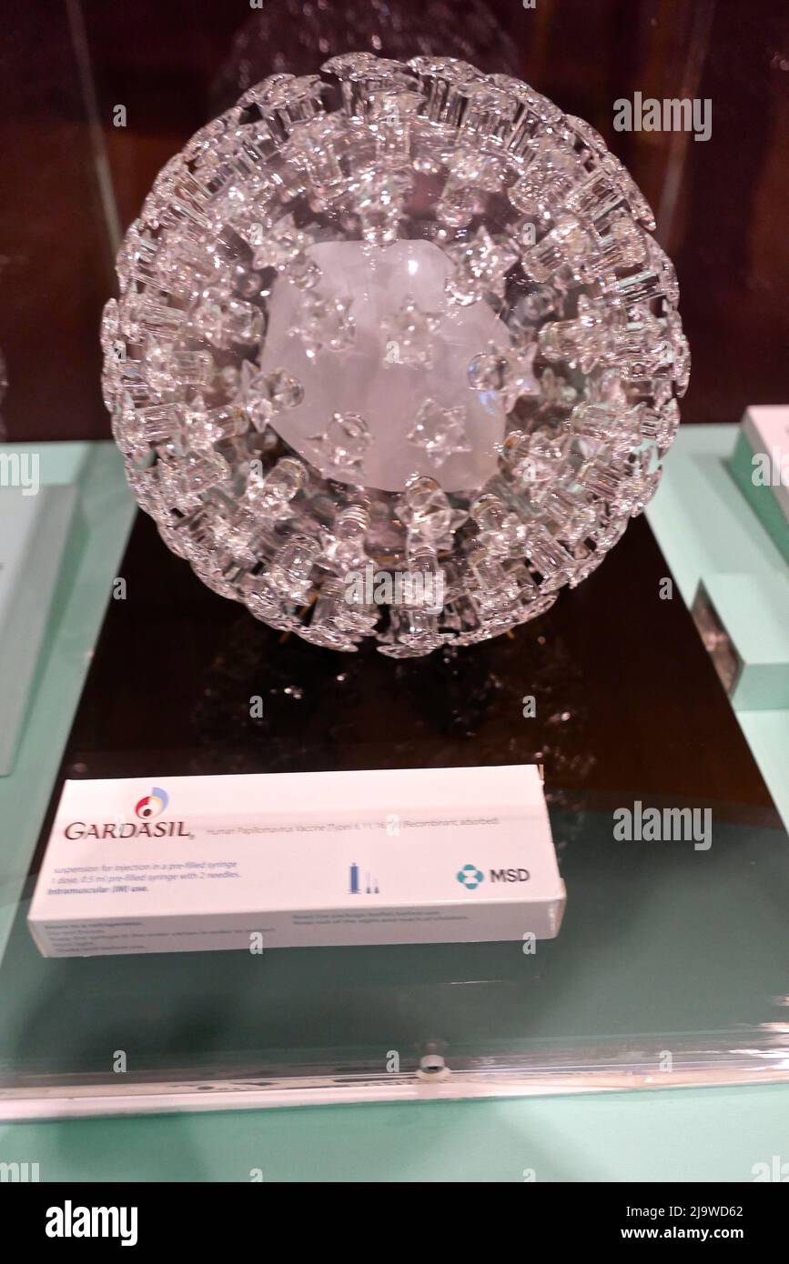 Today the Science Museum has opened Cancer Revolution : Science ...