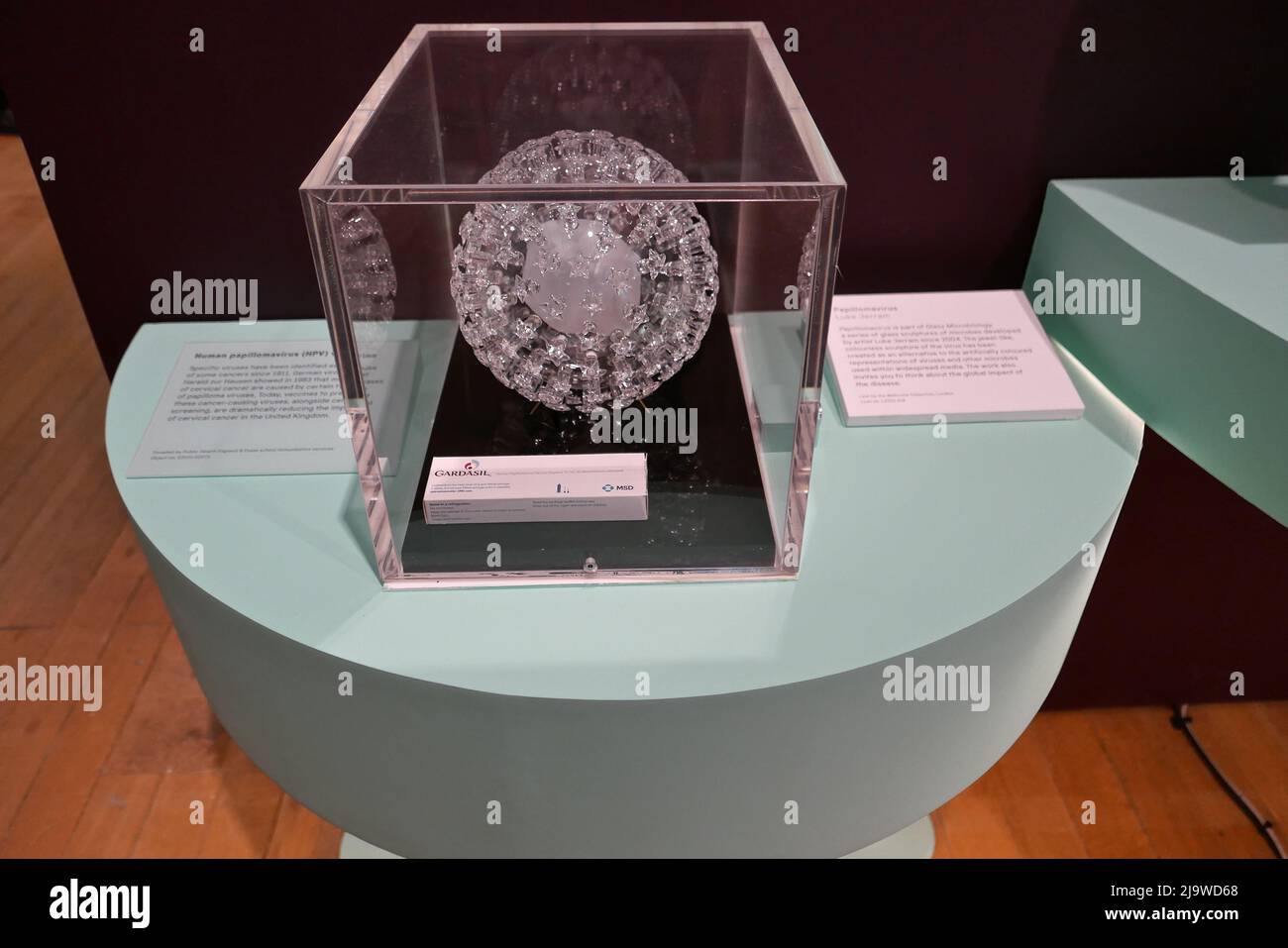 Today the Science Museum has opened Cancer Revolution : Science ...