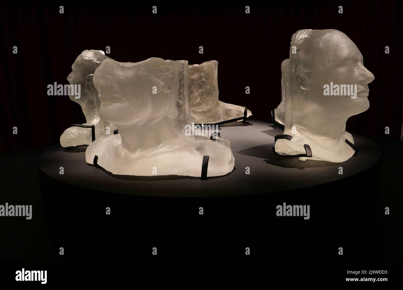 Today the Science Museum has opened Cancer Revolution : Science ...