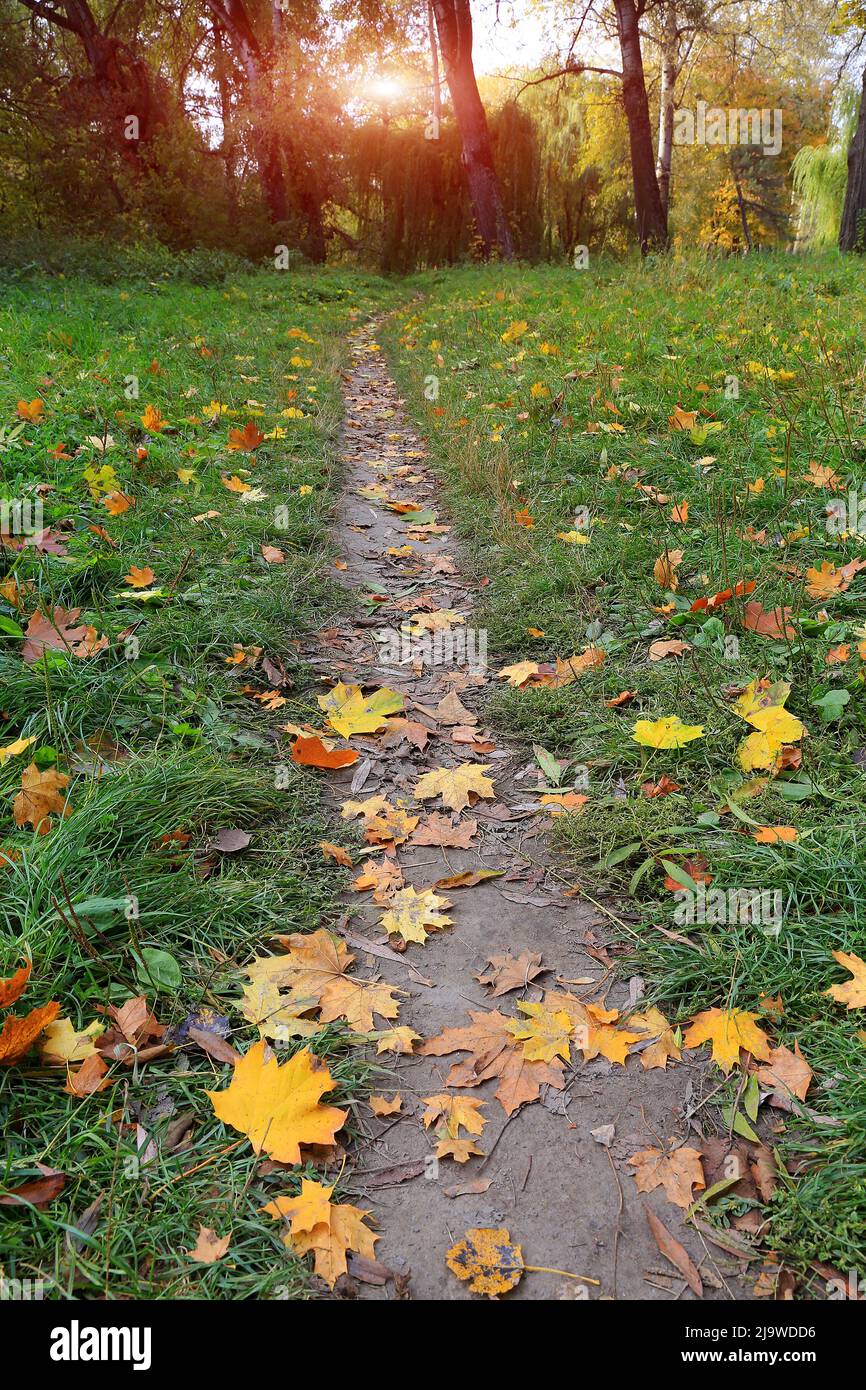 Landscape with pathway in autumn park Stock Photo - Alamy