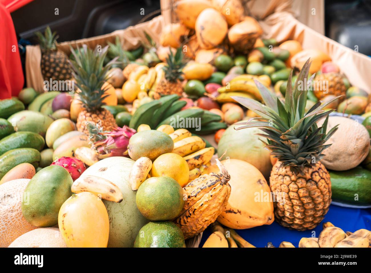 Shipment of various tropical fruits being sold in a market in Masaya ...