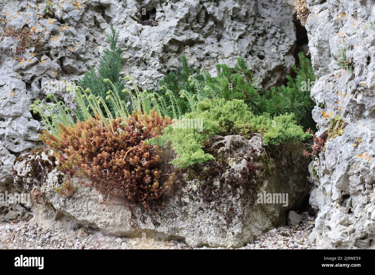 Rock niche hi-res stock photography and images - Alamy