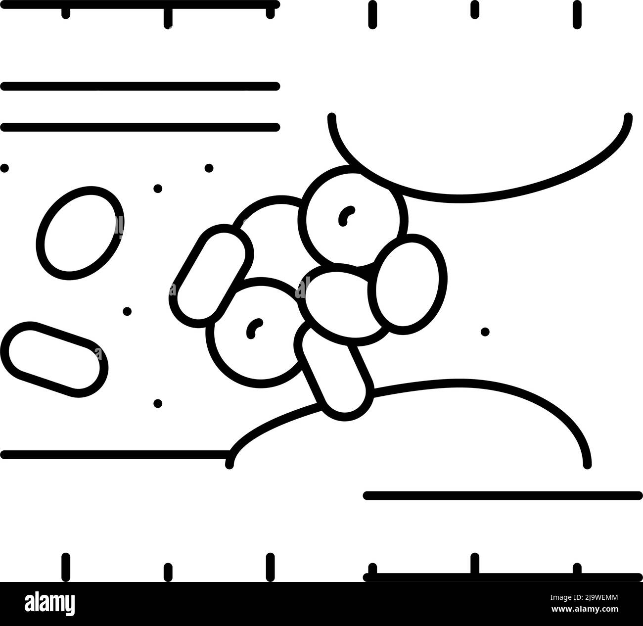 clot blood vessel vein line icon vector illustration Stock Vector Image ...