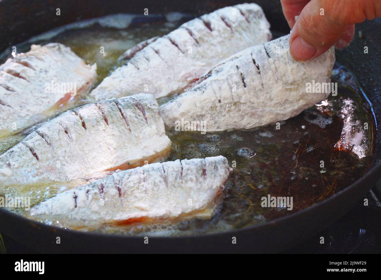 A small river fish rolled in flour is fried in oil in a frying pan ...