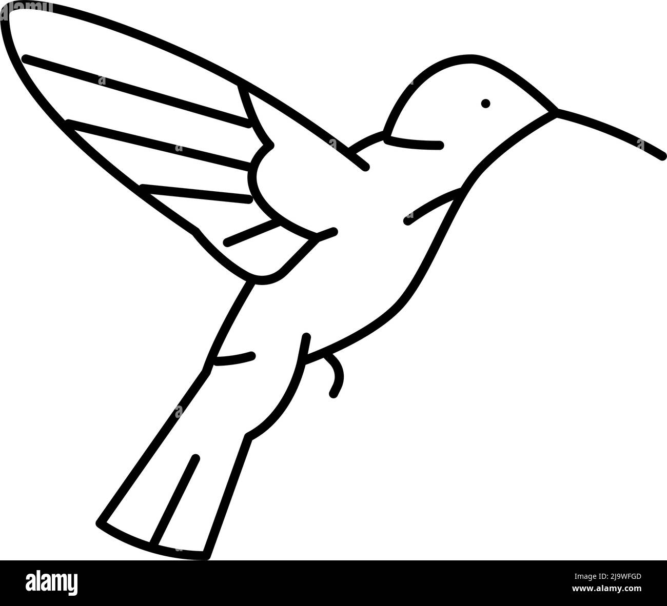 colibri bird line icon vector illustration Stock Vector Image & Art - Alamy