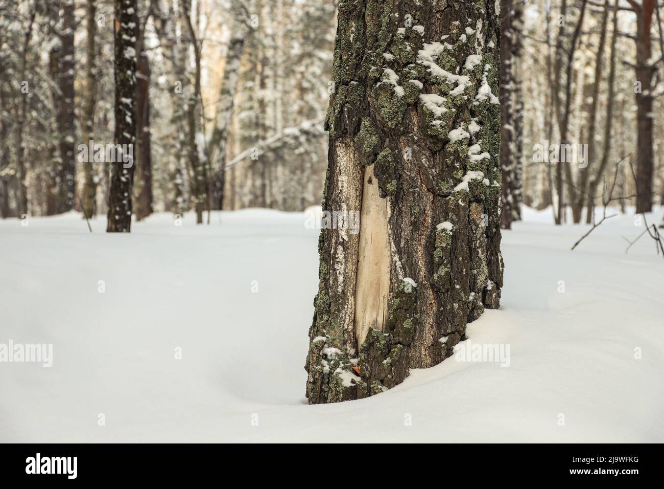 Fault tree hi-res stock photography and images - Alamy