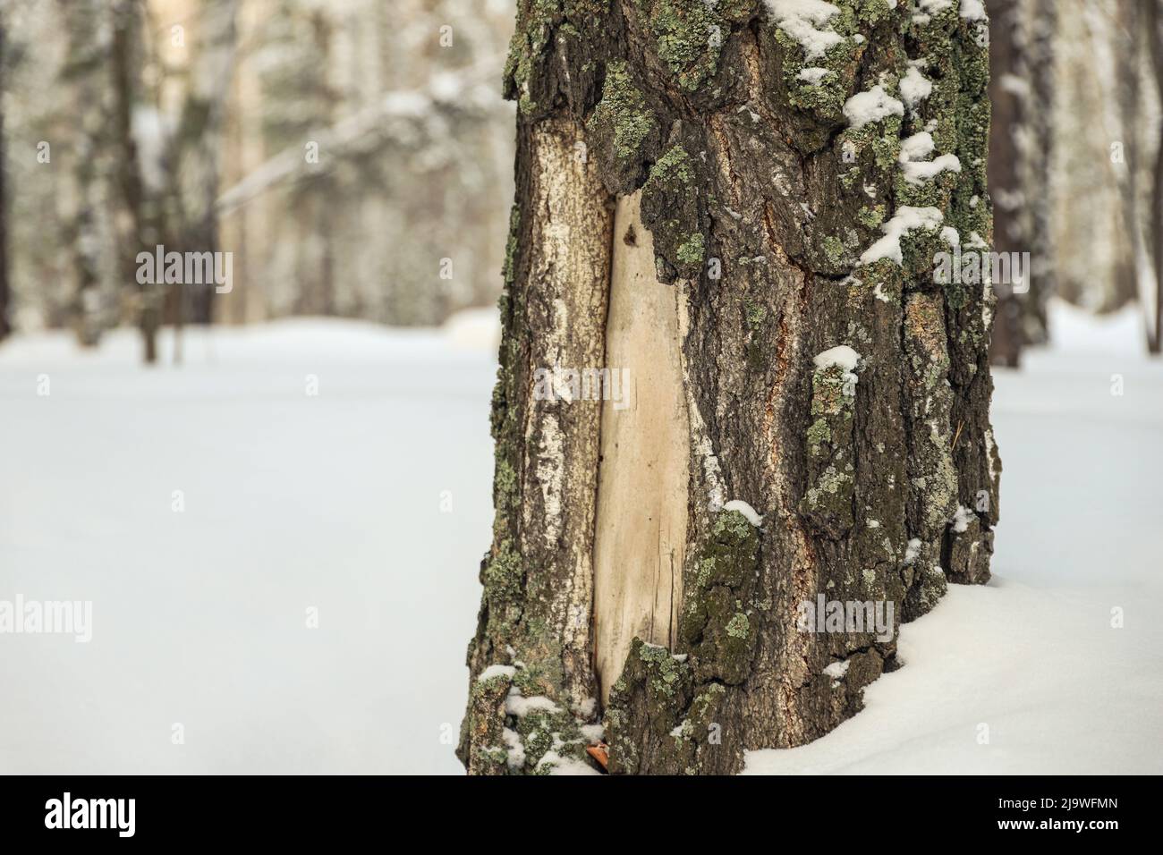 Fault tree hi-res stock photography and images - Alamy