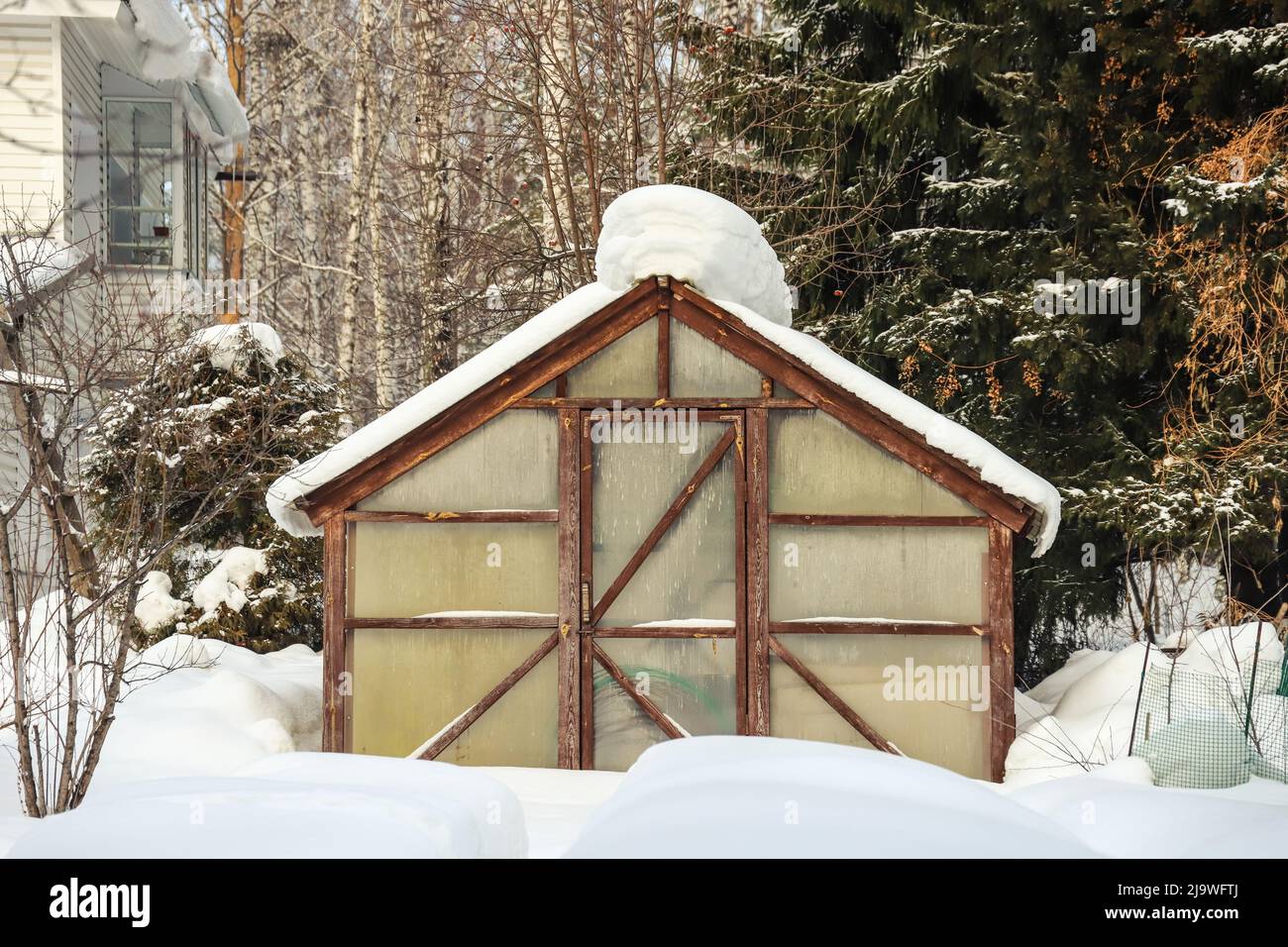 Snow covered greenhouse in the vegetable garden in winter close-up ...