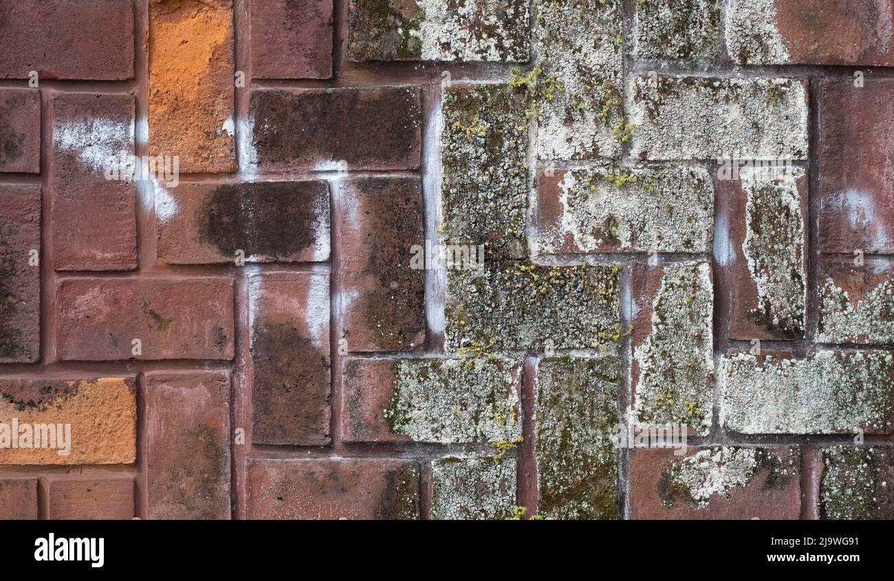 Old moss covered brick wall texture Stock Photo - Alamy