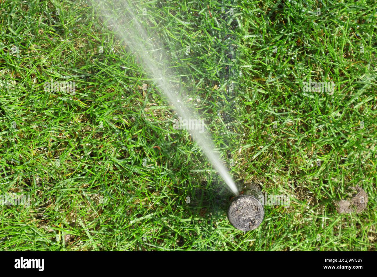 Garden irrigation system lawn. Automatic lawn sprinkler watering green ...