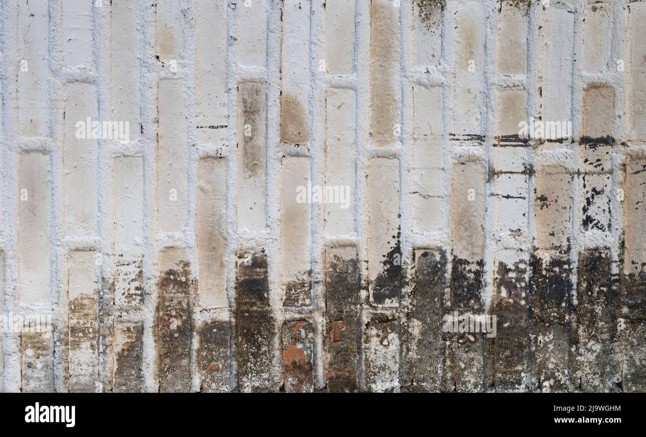 Old mildew covered white brick wall texture in Bali, Indonesia Stock ...