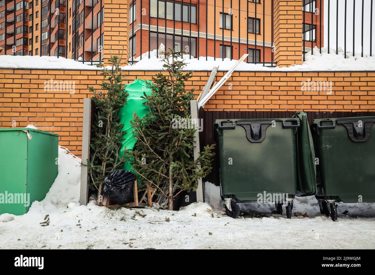 Thrown out christmas tree hi-res stock photography and images - Alamy