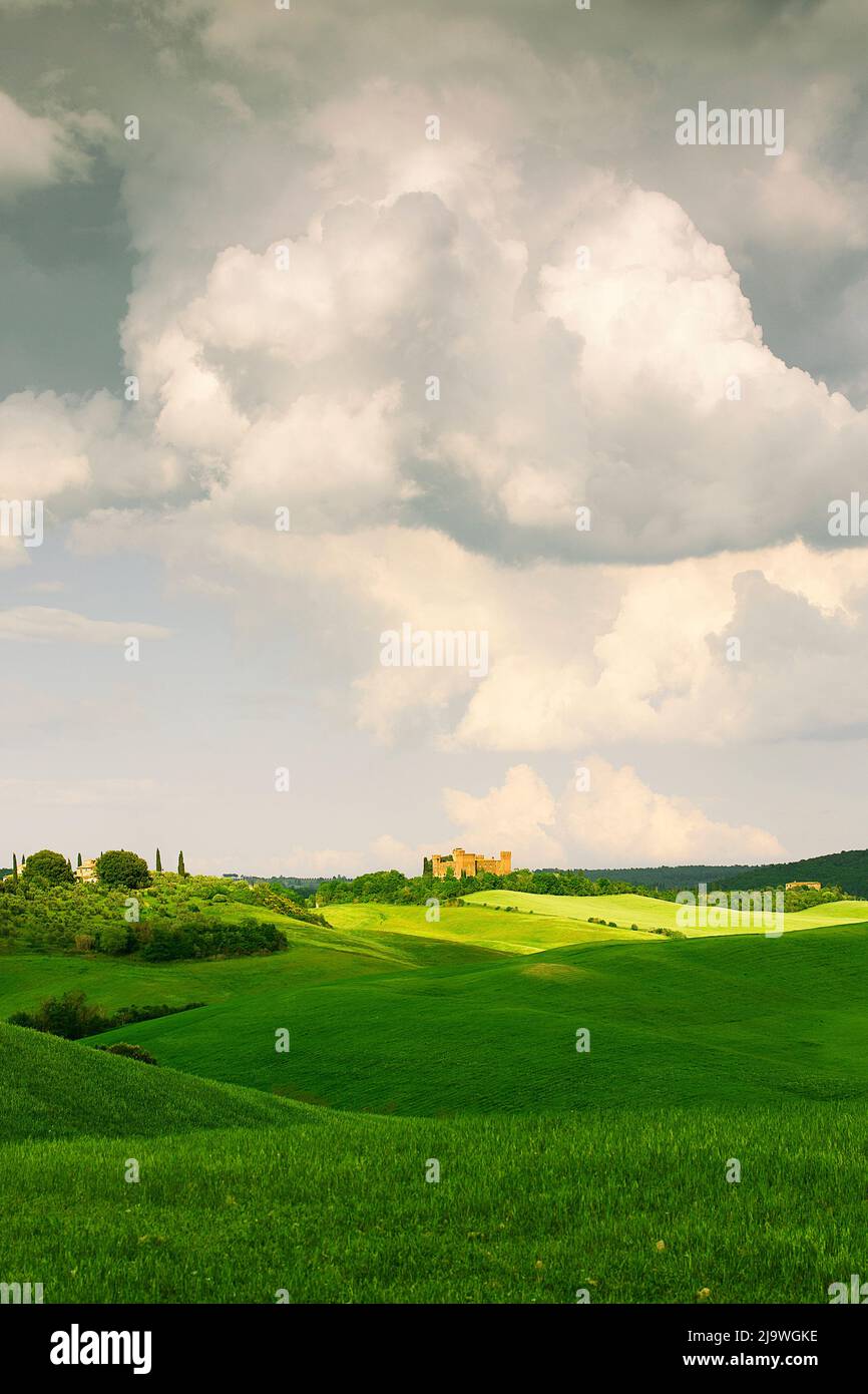 Landscape with cypresses in Tuscany - Italy X Stock Photo - Alamy