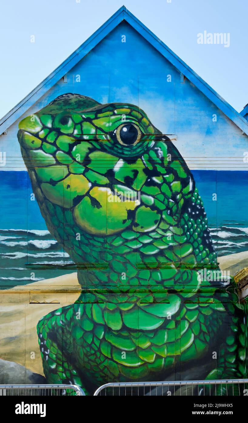 Lizard street art hi-res stock photography and images - Alamy
