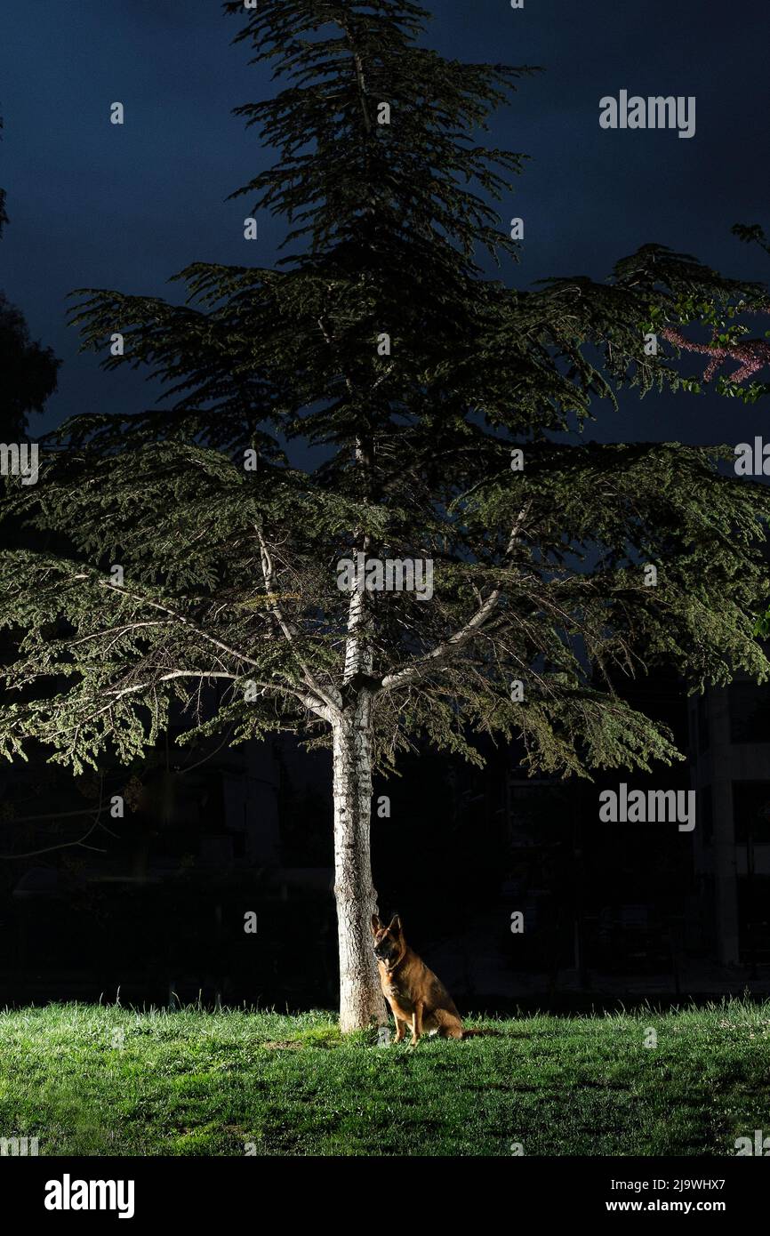 Positive trainning hi-res stock photography and images - Alamy