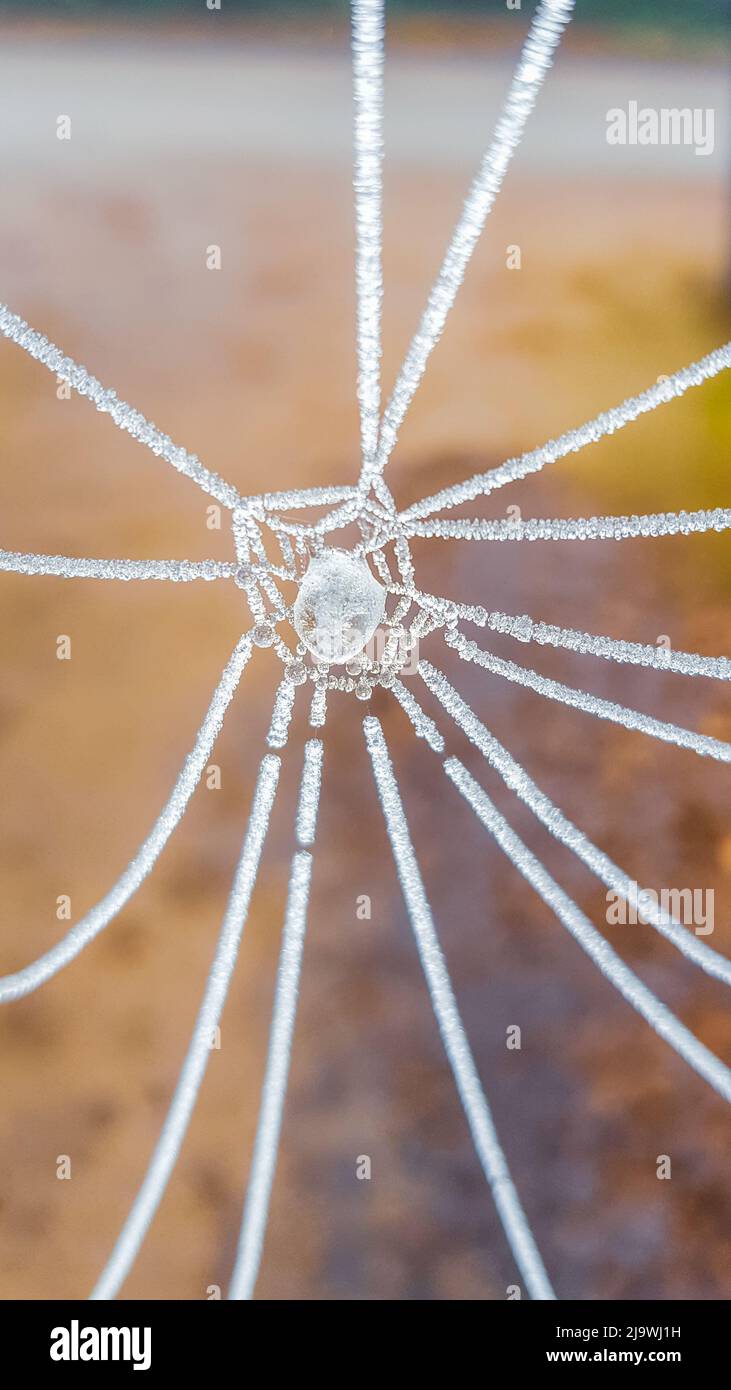 Frosty spiders webs hi-res stock photography and images - Alamy