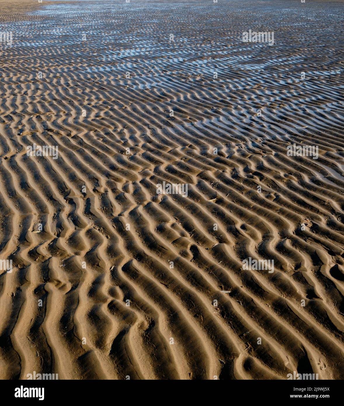 Shoreline texture hi-res stock photography and images - Alamy