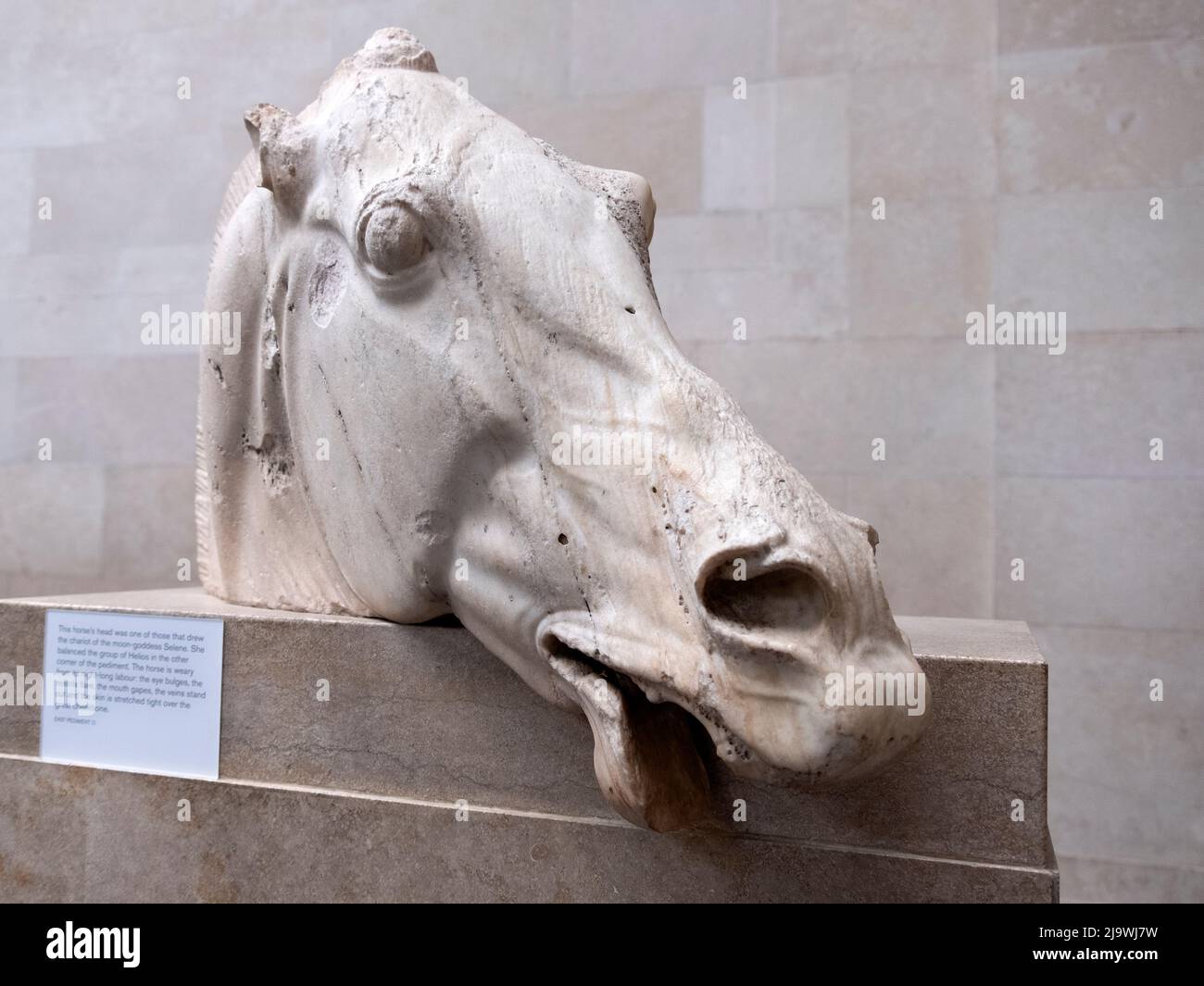British museum exhibition,London,UK Stock Photo - Alamy