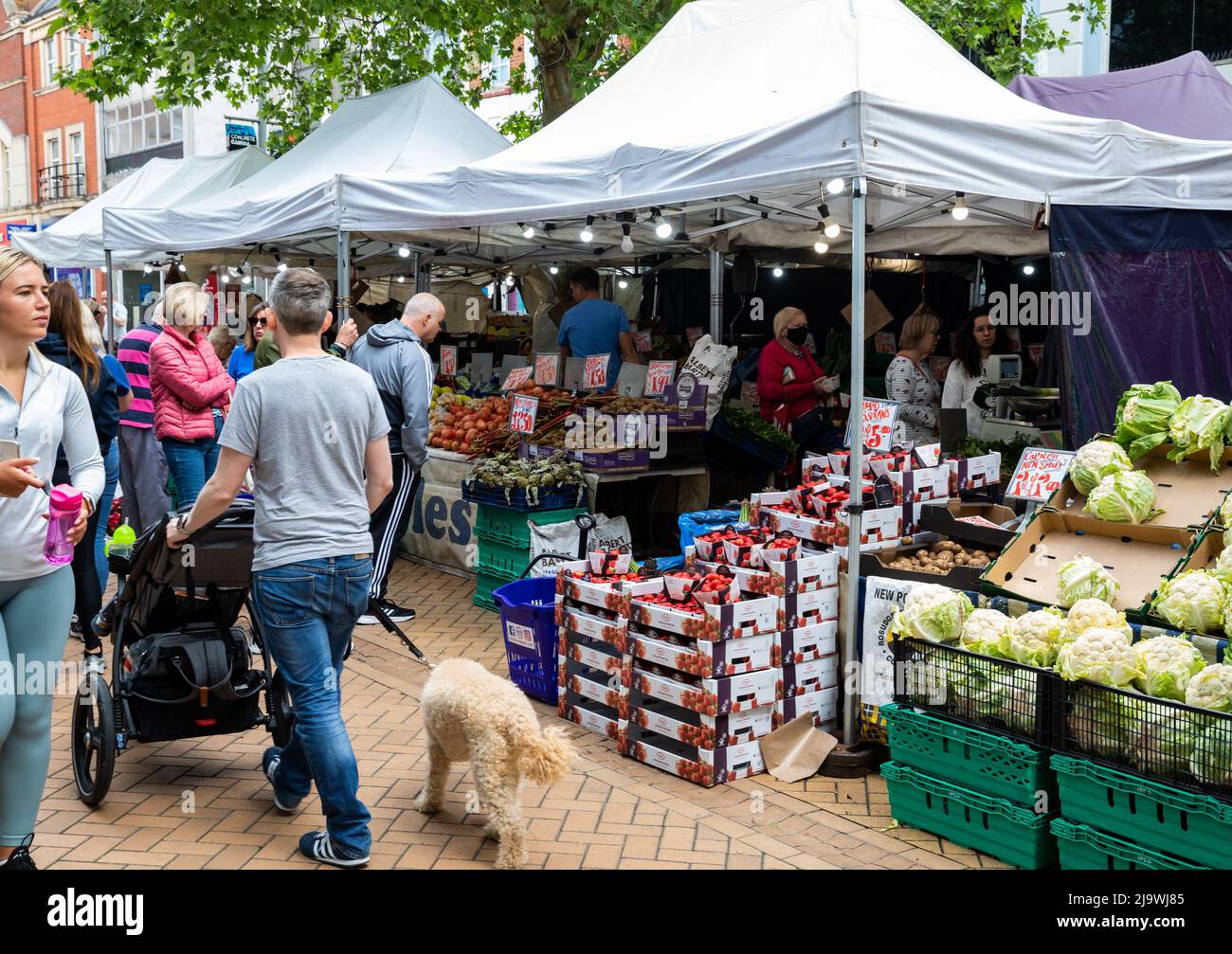 Market Day in Chelmsford, Essex Stock Photo - Alamy