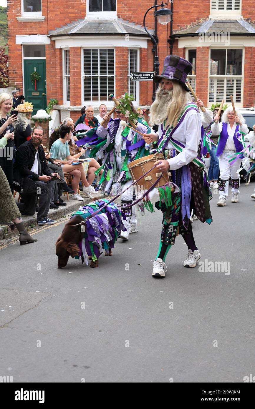 Morris dancers at the jack in the green parade hi-res stock photography ...
