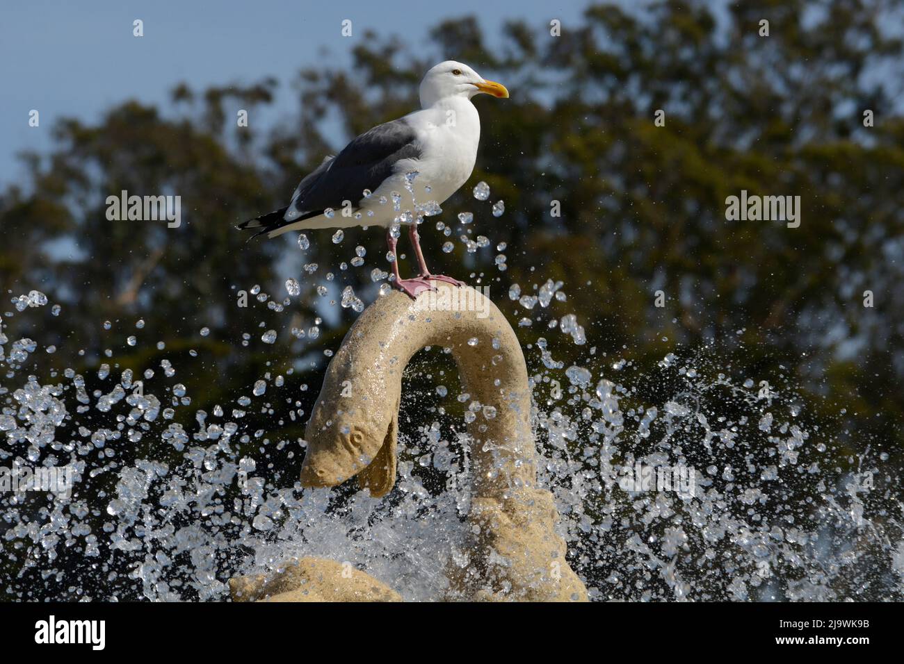 Rideout hi-res stock photography and images - Alamy