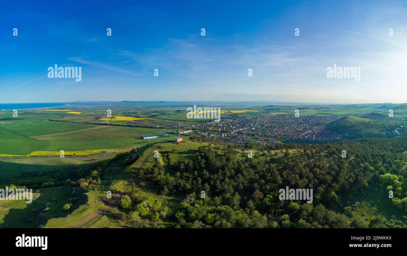 Panorama of bright flowering fields with yellow spring plant in ...