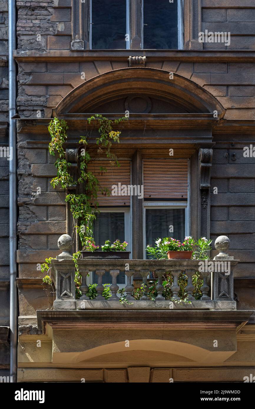 Window with an arch, a balcony and flowers on an old facade of a gray ...