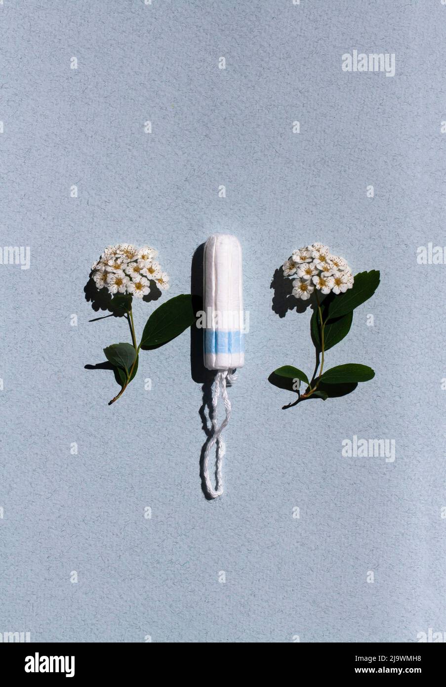 Medical female tampon and white flowers on a blue background. Hygienic ...