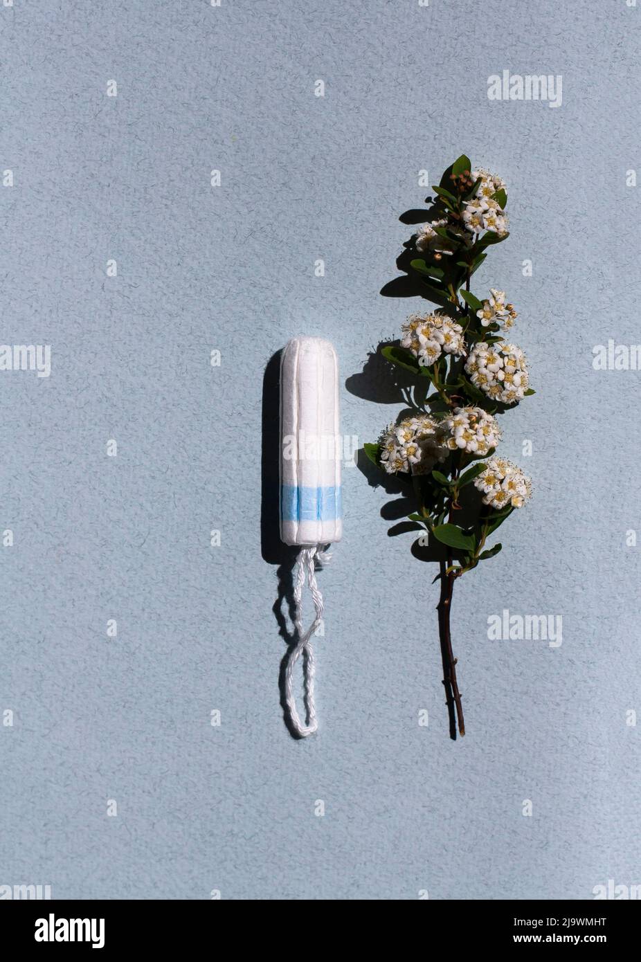 Medical female tampon and white flowers on a blue background. Hygienic ...