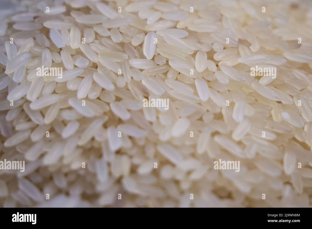 Rice grains, close-up shot. A scattering of rice as a background Stock ...