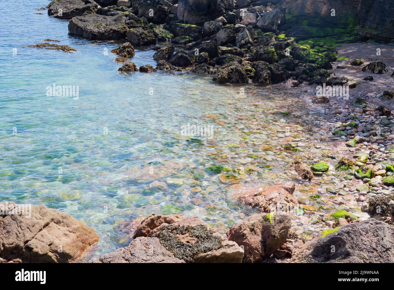 Anstey's Cove near Torquay, Devon. English Riviera beach Stock Photo ...