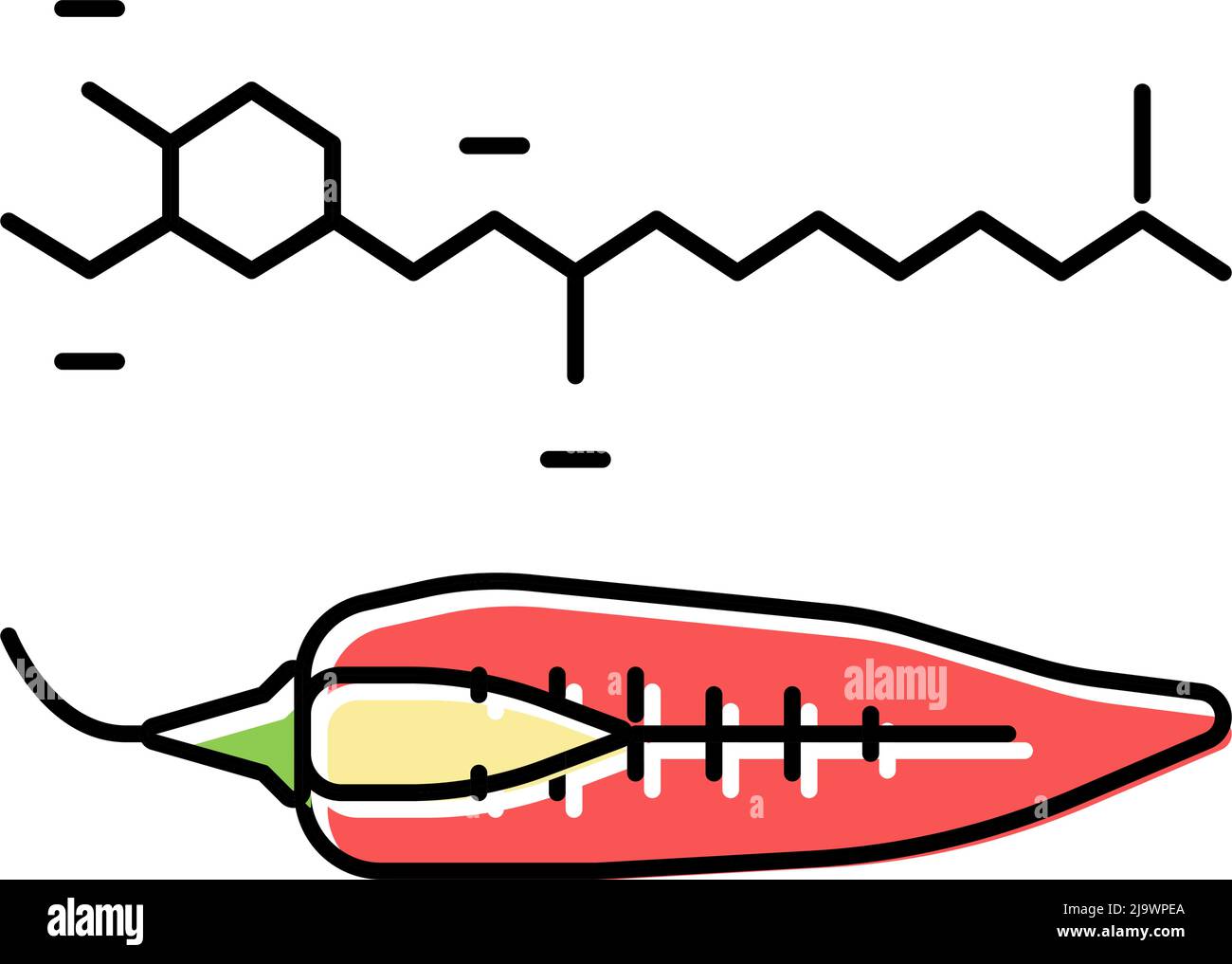 capsaicin pepper color icon vector illustration Stock Vector Image ...