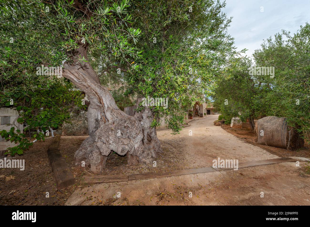 Fasano italy puglia hi-res stock photography and images - Alamy