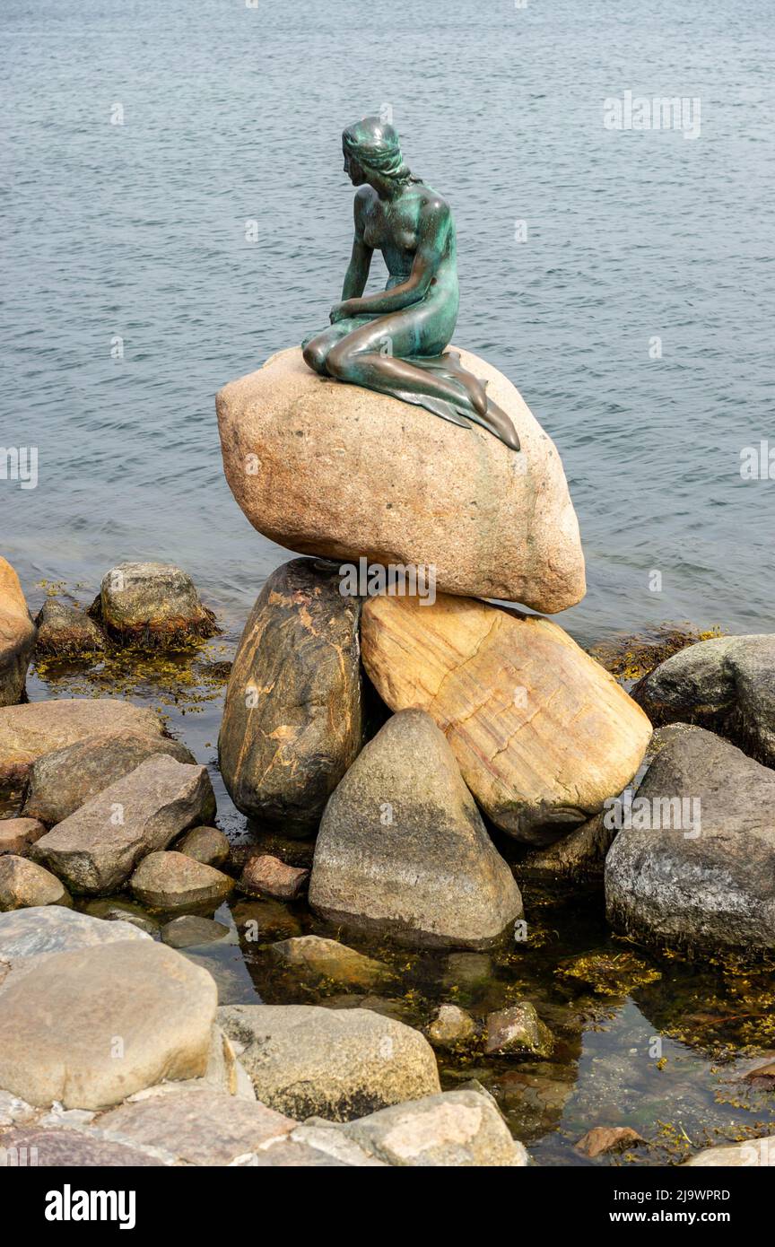 Den lille Havfrue, The Little Mermaid statue, Copenhagen, Denmark Stock ...